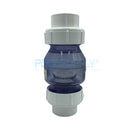 NDS 2" True Union Swing Clear Check Valve - 1720C20