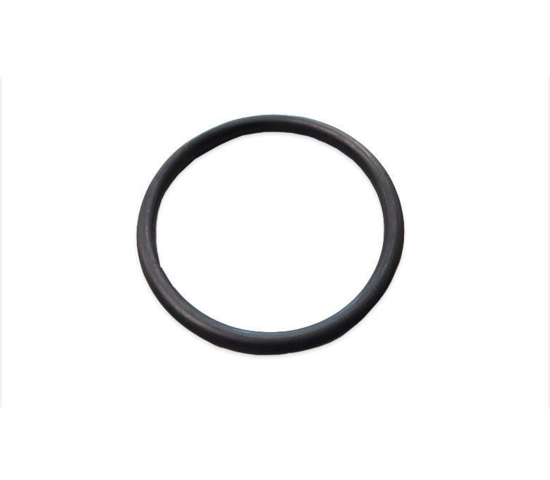 Solaxx / PureChlor Cell O-Ring - GNR00009