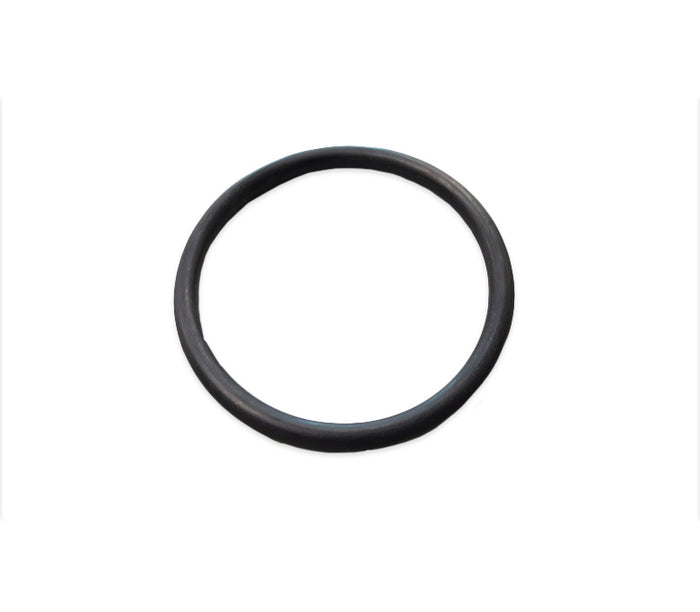 Solaxx / PureChlor Cell O-Ring - GNR00009
